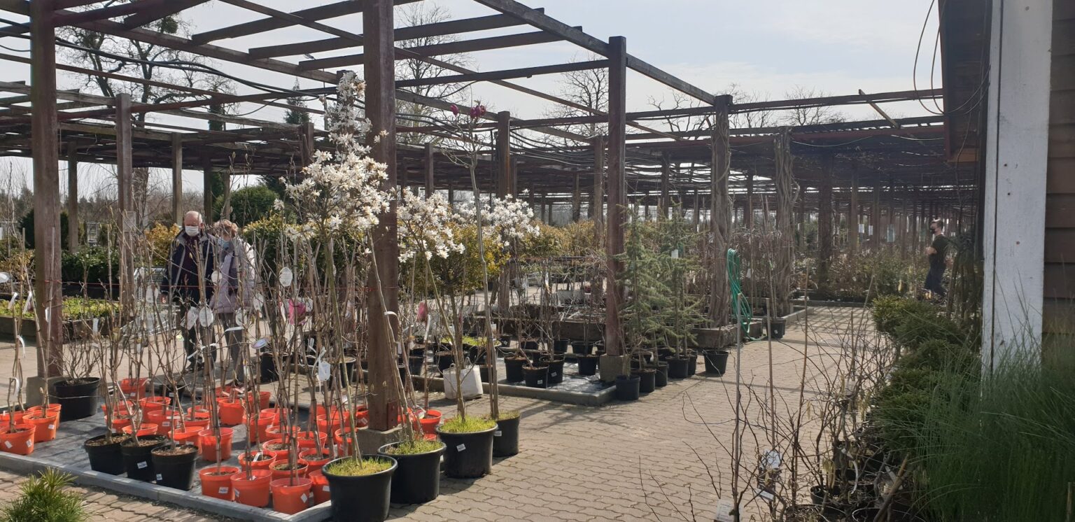 Centrum Ogrodnicze – Bronisze | Spójnia