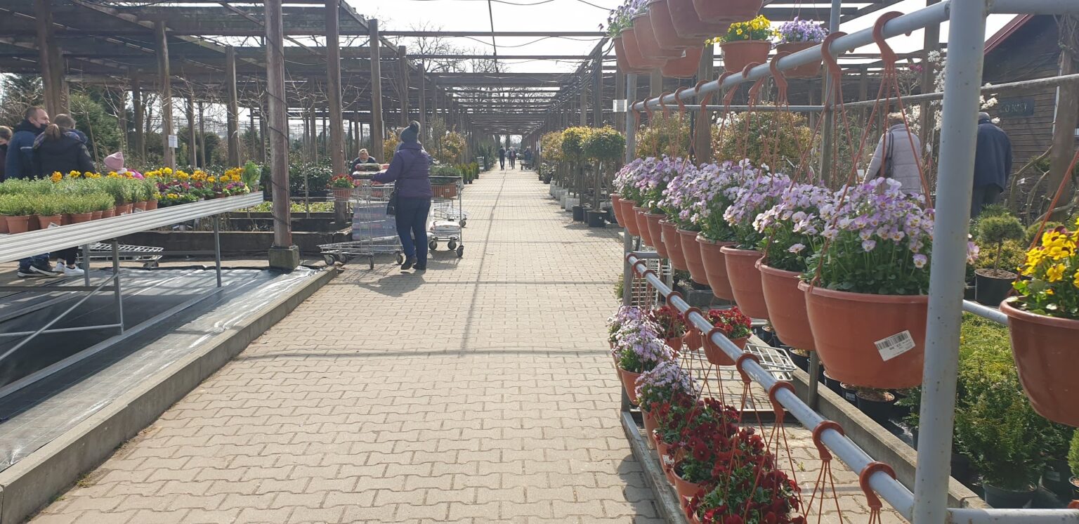 Centrum Ogrodnicze – Bronisze | Spójnia