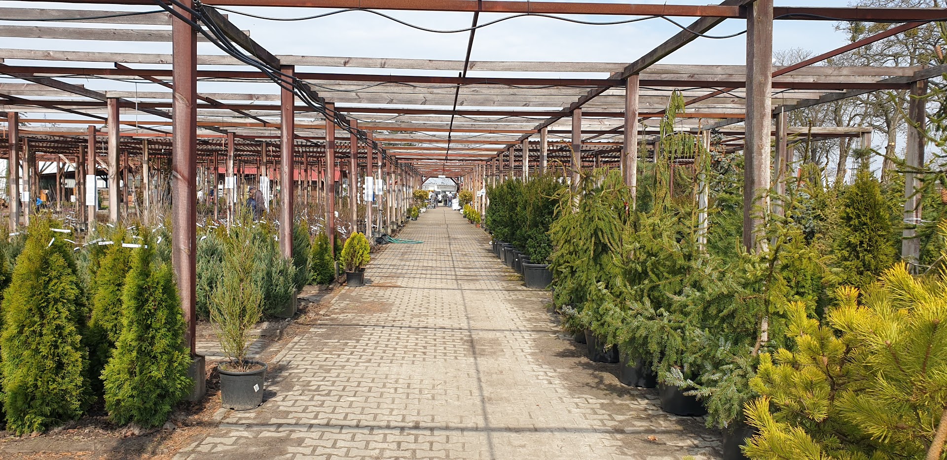 Centrum Ogrodnicze – Bronisze | Spójnia